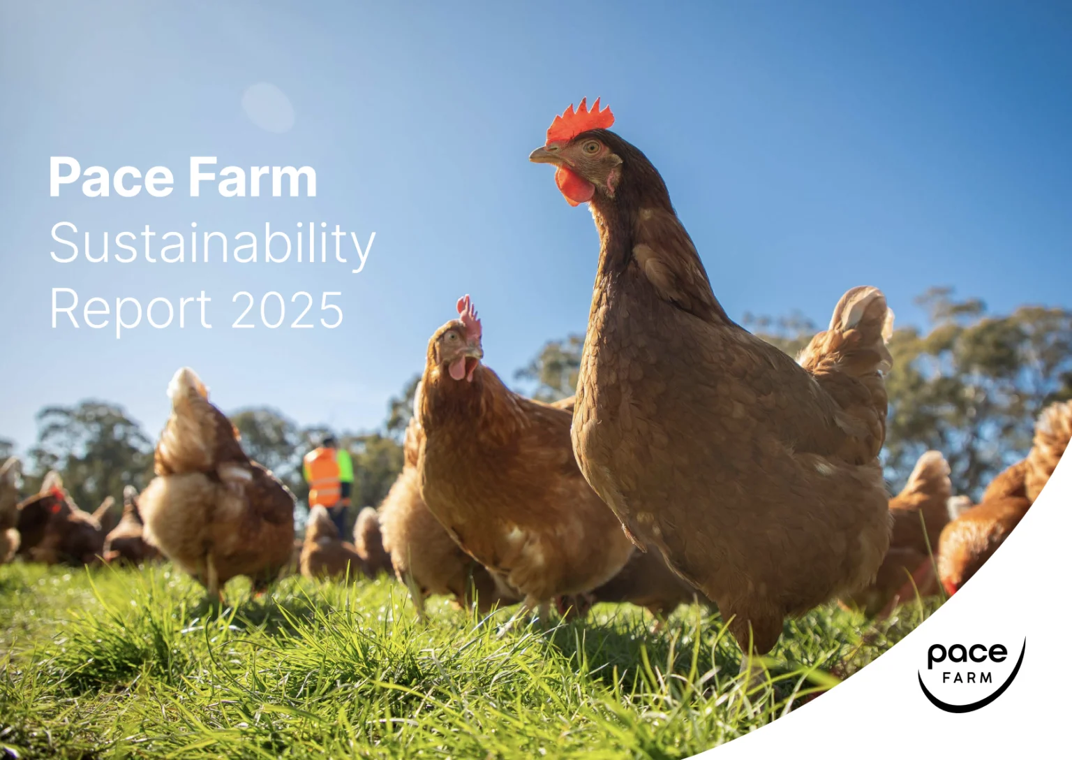 Pace Farm unveils 2025 sustainability highlights | Pace Farm Eggs